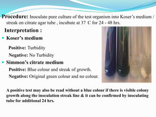 Biochemical reactions | PPTX