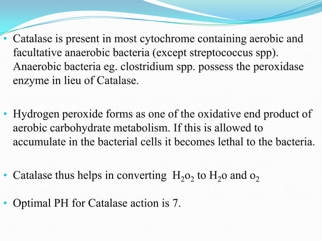 Biochemical reactions | PPTX