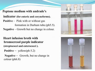 Biochemical reactions | PPTX