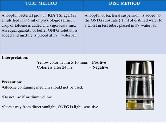 Biochemical reactions