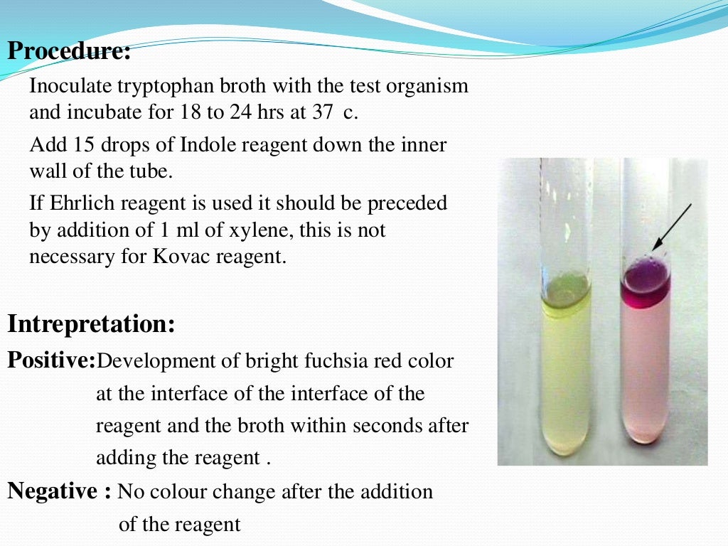 Biochemical reactions