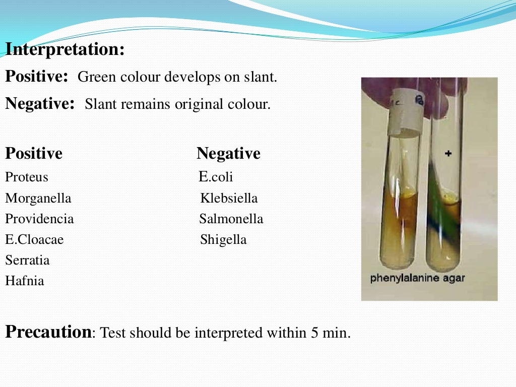 Biochemical reactions