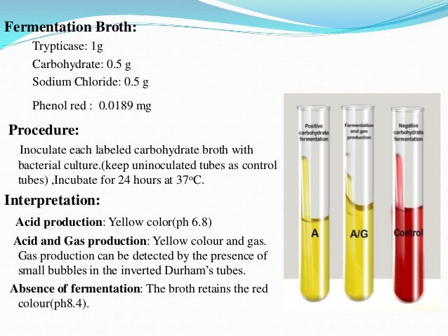 Phenol Red Fermentation Tubes