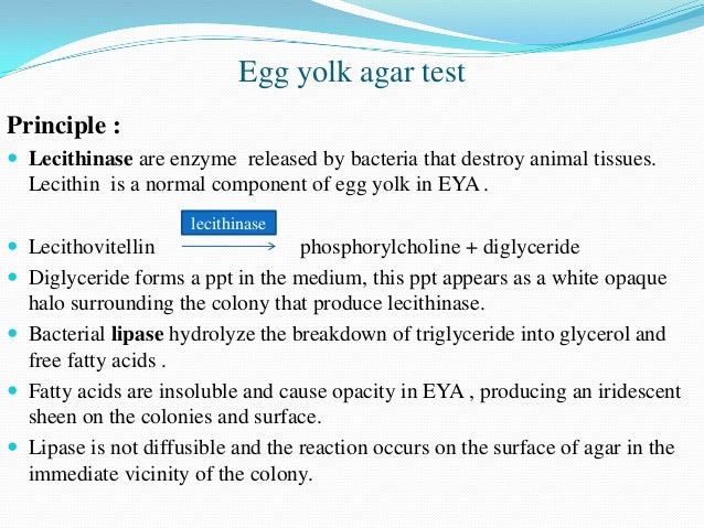 Biochemical reactions