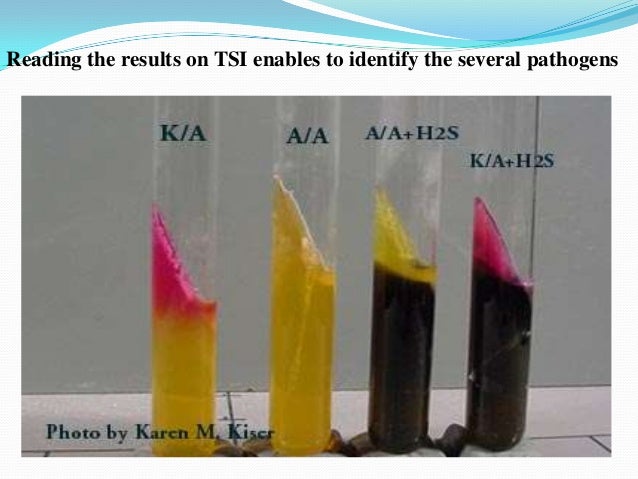 Biochemical reactions