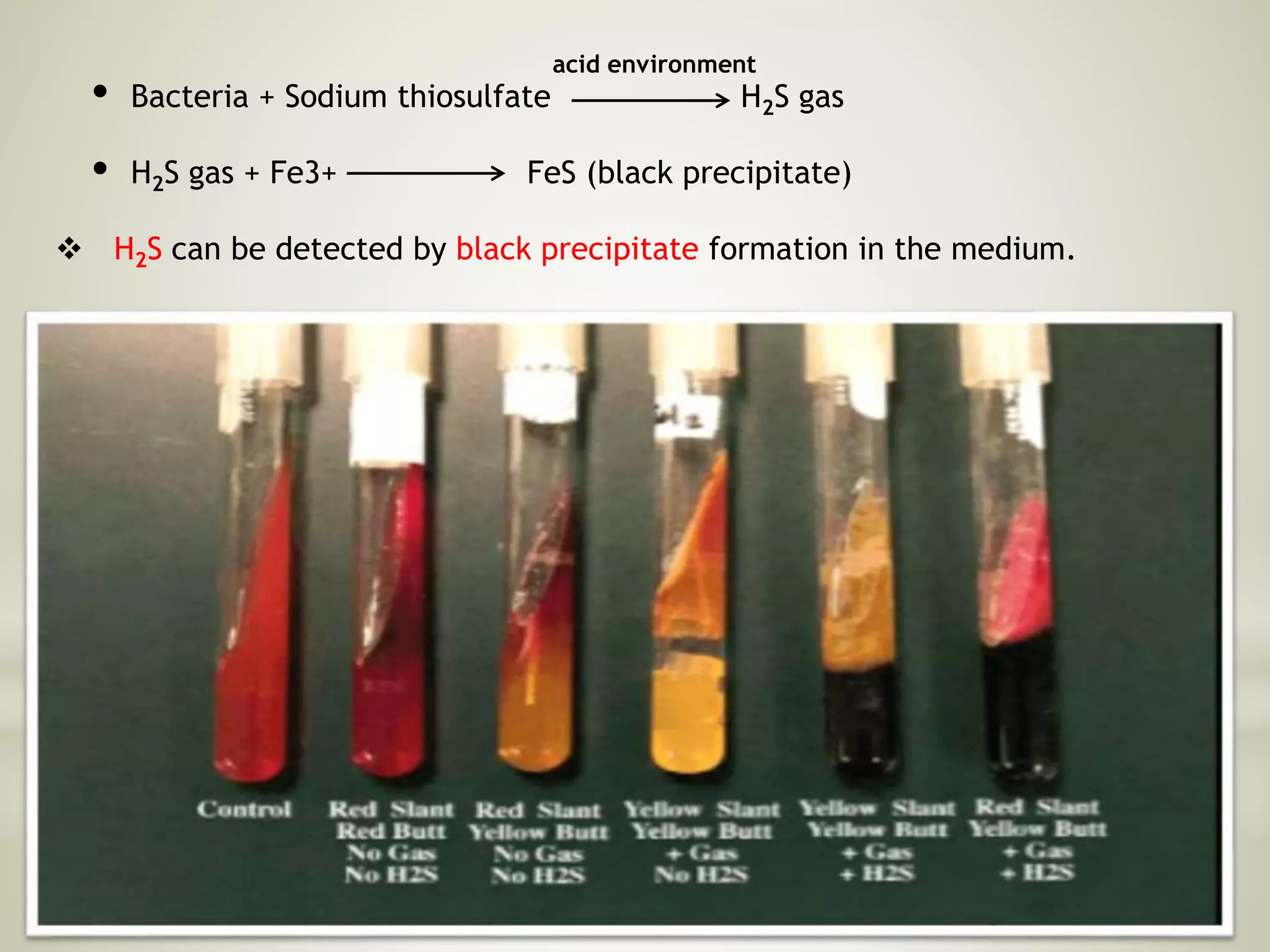 Biochemical reactions | PPTX