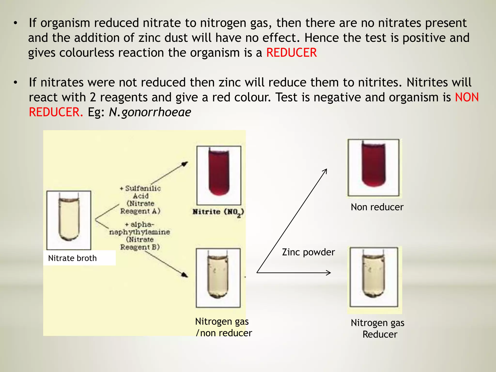 Biochemical reactions | PPTX