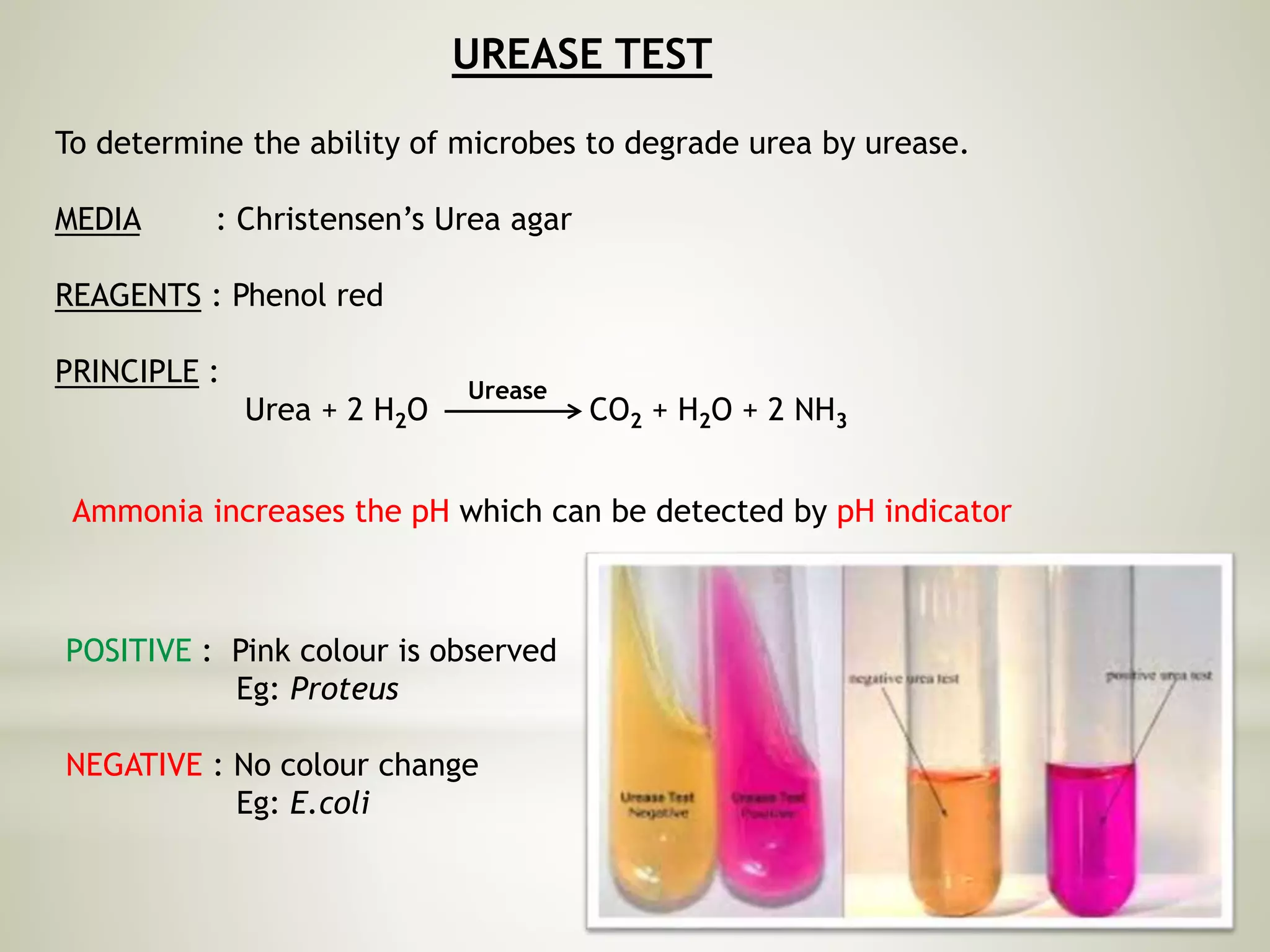 Biochemical reactions | PPTX