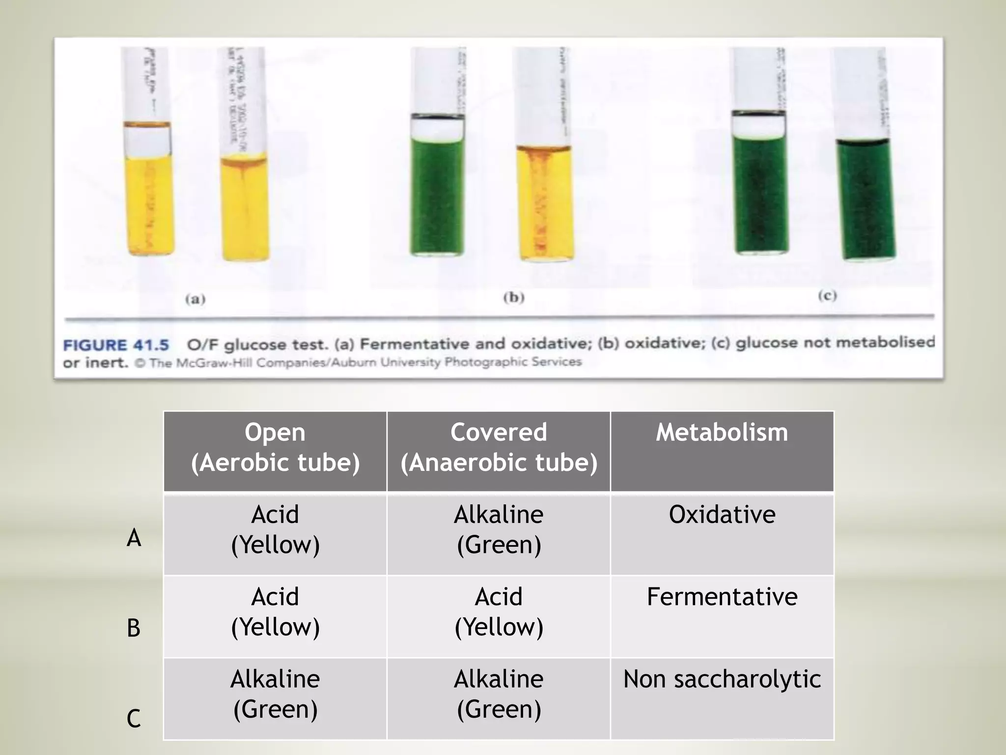 Biochemical reactions | PPTX