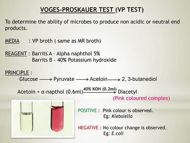 Biochemical reactions | PPTX
