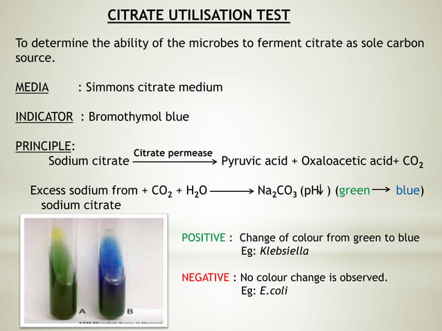 Biochemical reactions | PPTX