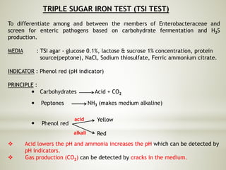 Biochemical reactions | PPTX