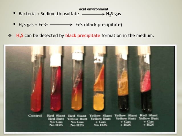 Biochemical reactions | PPTX