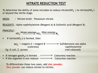 Biochemical reactions | PPTX