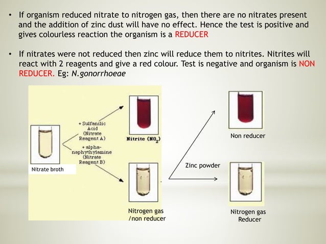 Biochemical reactions | PPTX