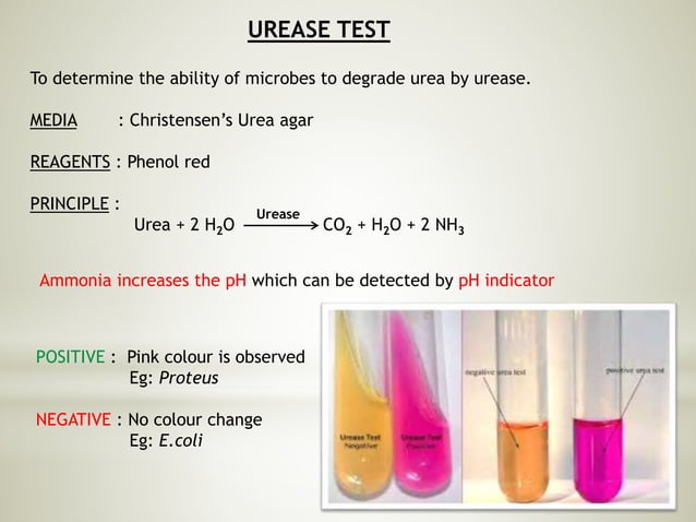 Biochemical reactions | PPTX