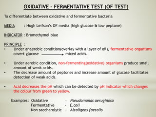 Biochemical reactions | PPTX