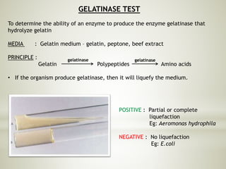 Biochemical reactions | PPTX