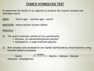 Biochemical reactions | PPTX