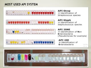 Biochemical reactions | PPTX