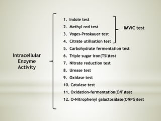 Biochemical reactions | PPTX