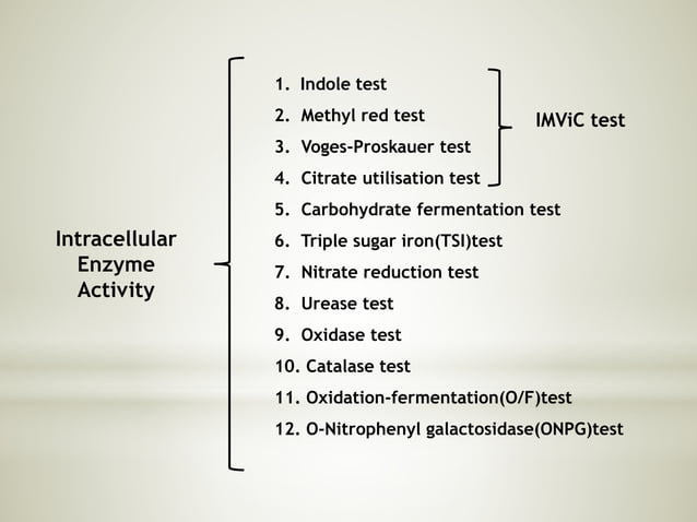 Biochemical reactions | PPTX