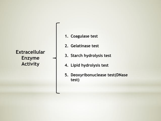 Biochemical reactions | PPTX
