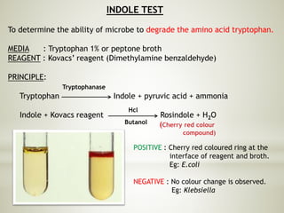 Biochemical reactions | PPTX