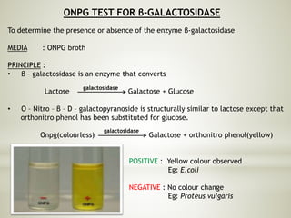 Biochemical reactions | PPT