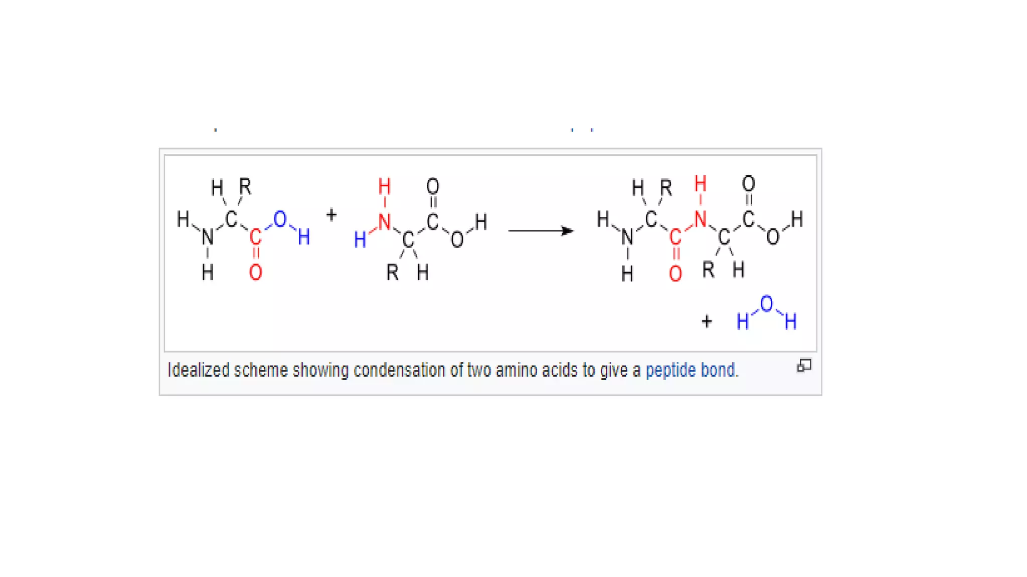 biochemical reactions.pptx