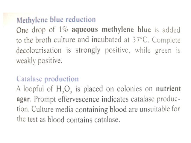biochemical reactions converted (1).pptx