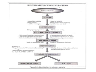 biochemical reactions converted (1).pptx