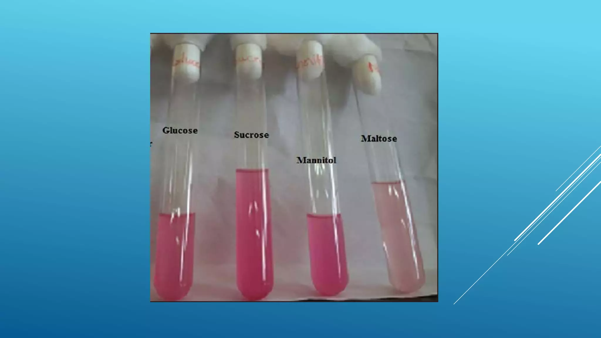 biochemical reactions(gnb)-4.pptx