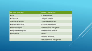 biochemical reactions(gnb)-4.pptx