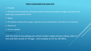 biochemical reactions(gnb)-4.pptx