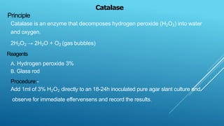 biochemical reactions(gnb)-4.pptx