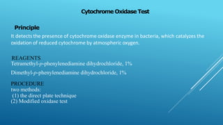biochemical reactions(gnb)-4.pptx