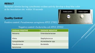 biochemical reactions(gnb)-4.pptx