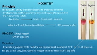 biochemical reactions(gnb)-4.pptx