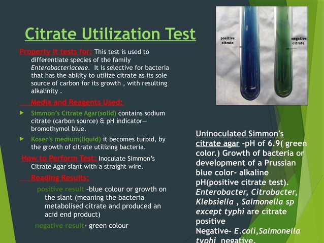 BIOCHEMICAL REACTIONS IN BACTERIOLOGY.pptx