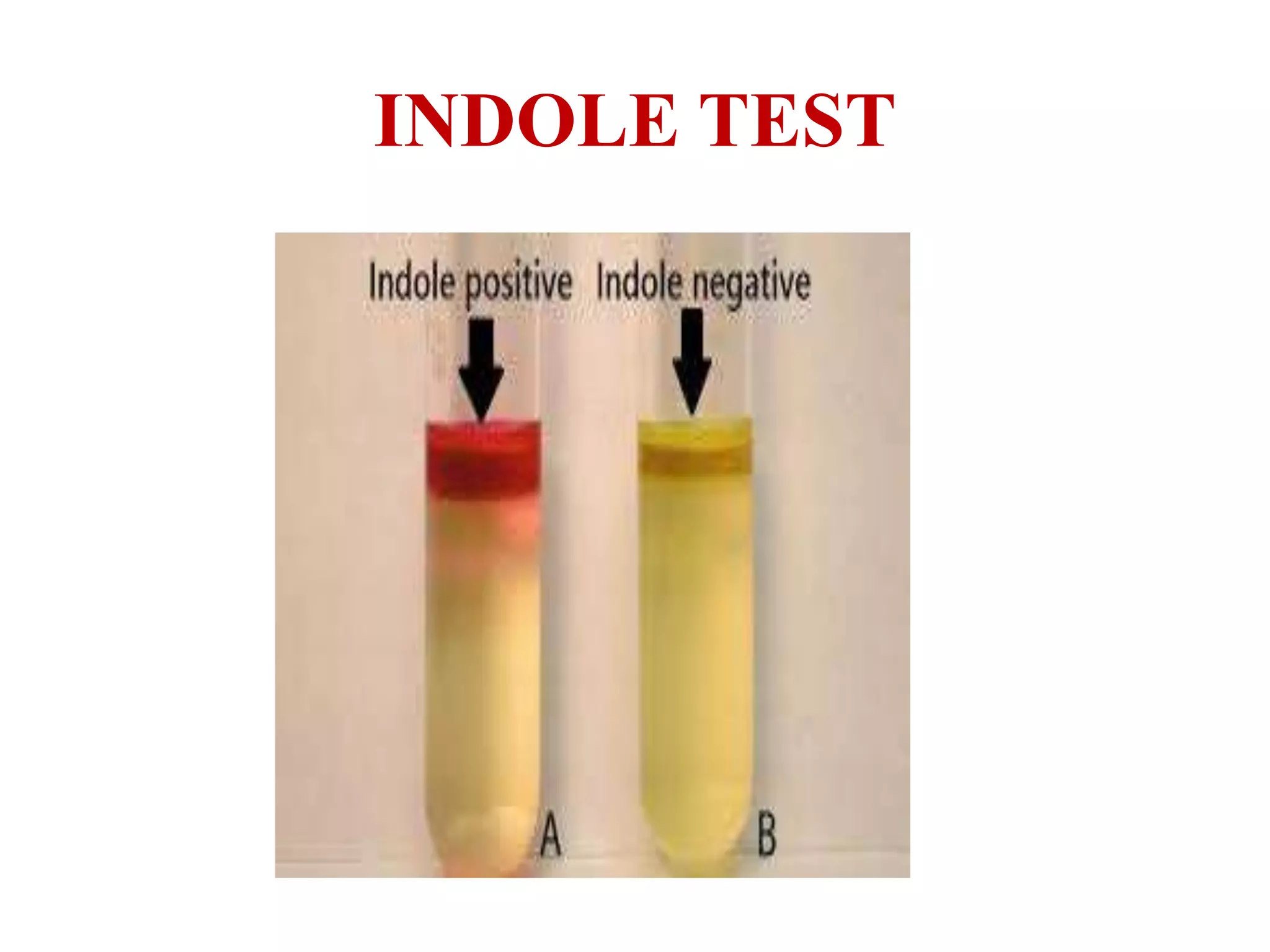 Biochemical reactions new | PPTX