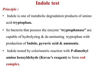 Biochemical reactions new | PPTX