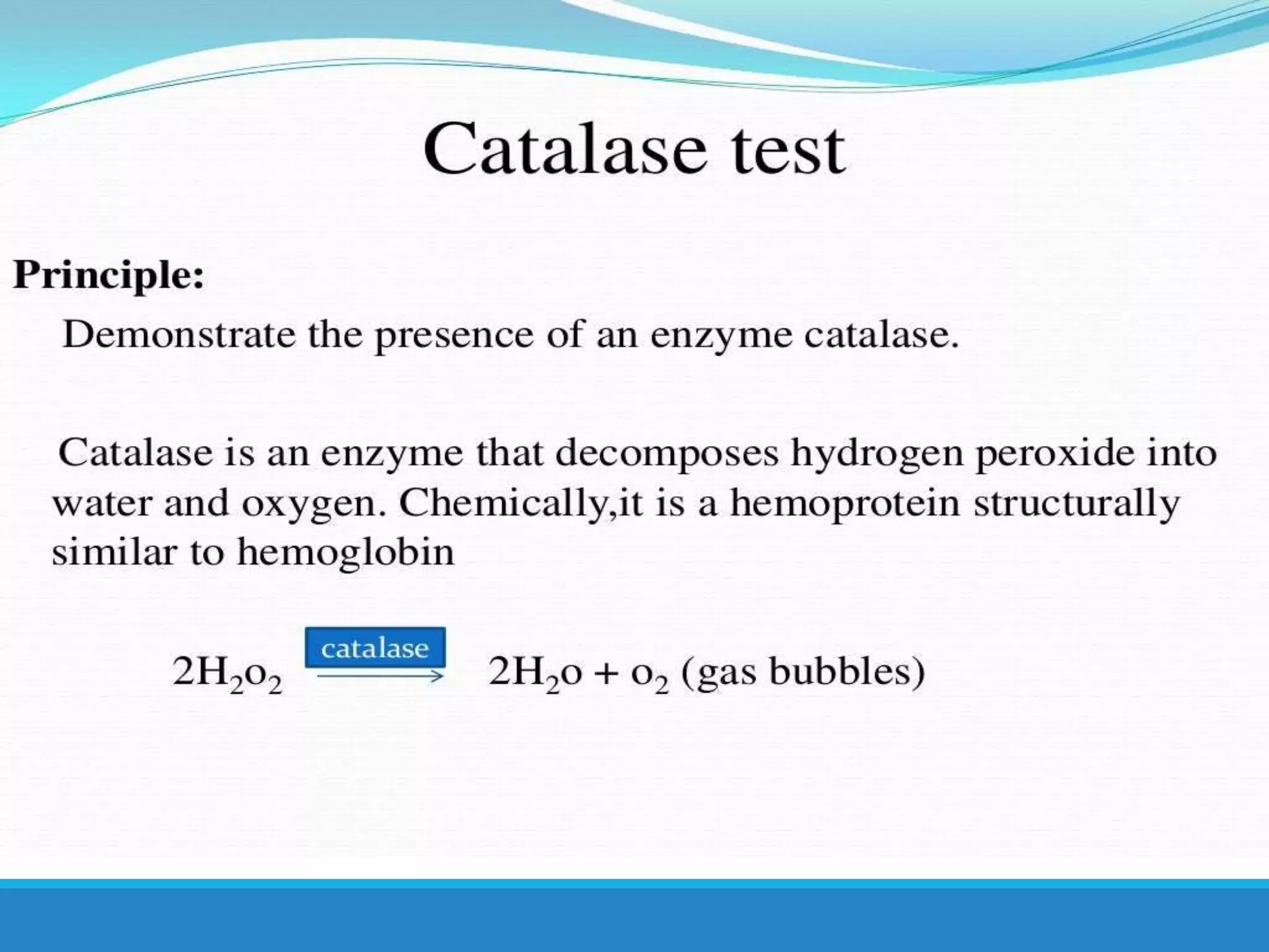 BIOCHEMICAL REACTIONS – PART 1.pptx