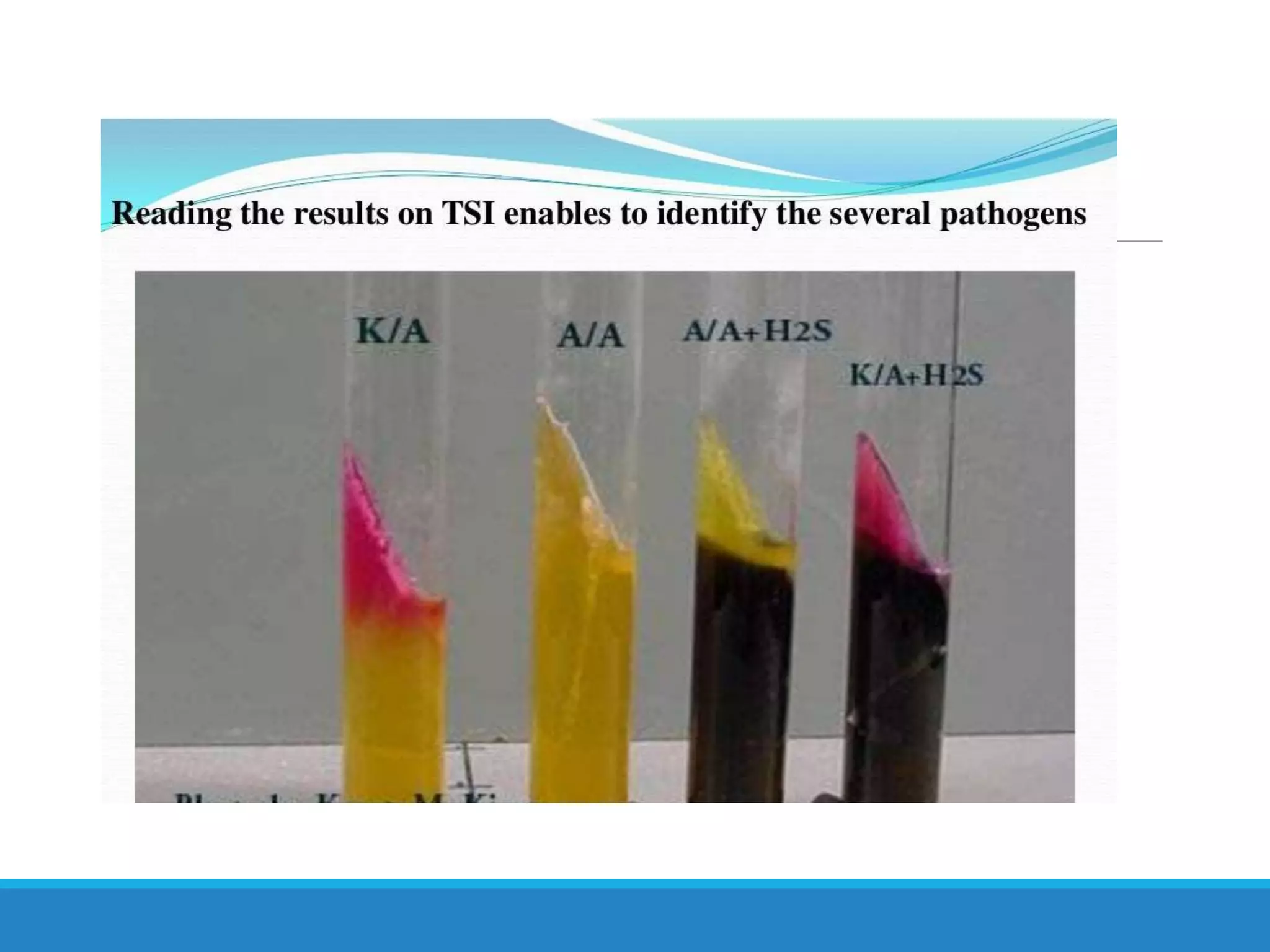 BIOCHEMICAL REACTIONS – PART 1.pptx
