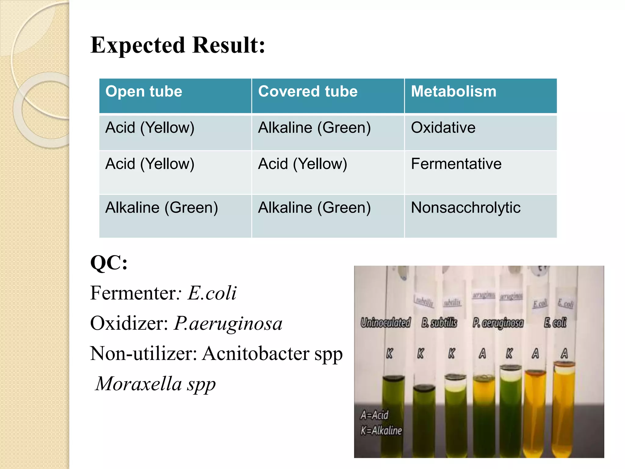 Biochemical reactions PPT.pptx