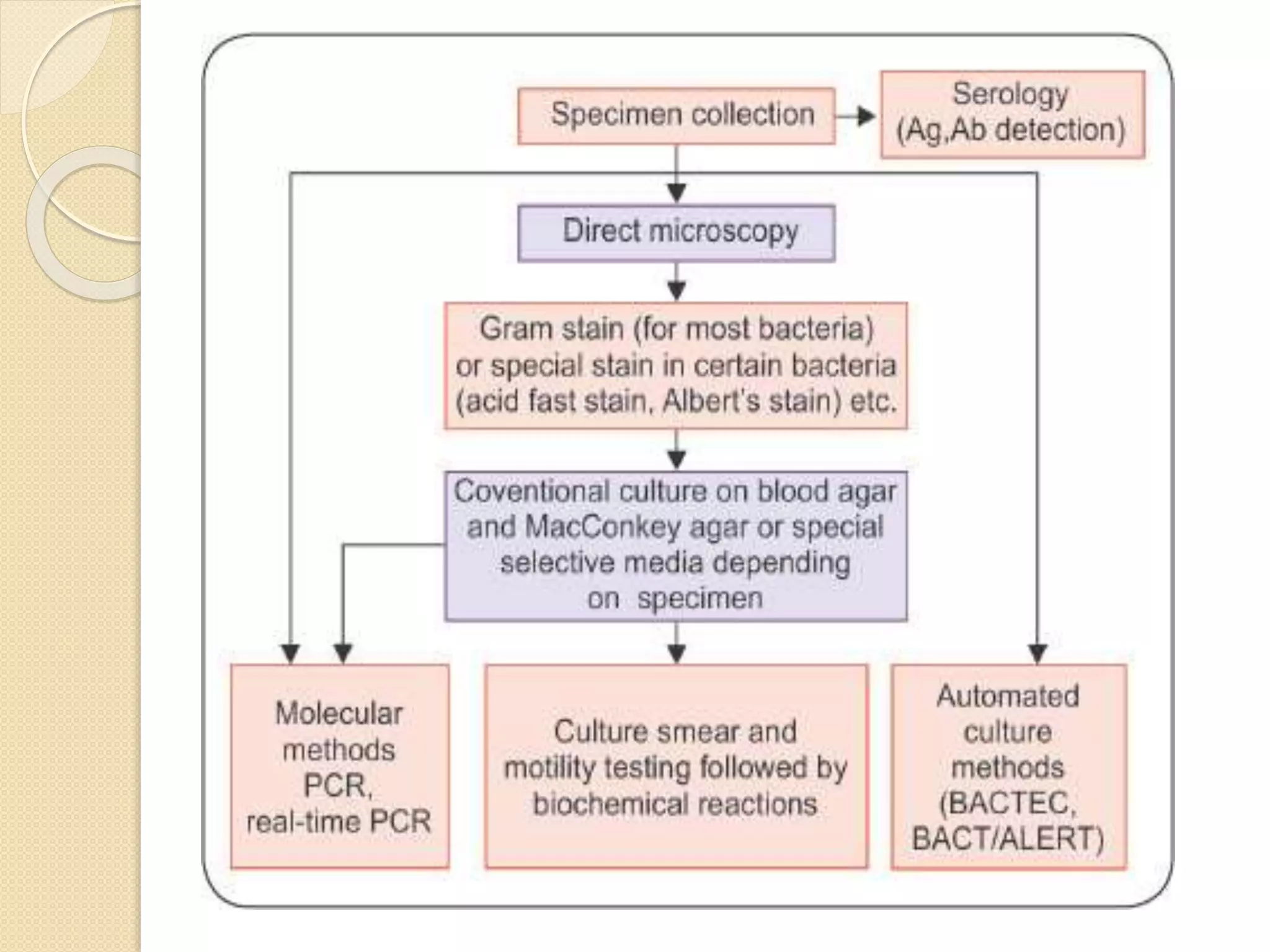 Biochemical reactions PPT.pptx