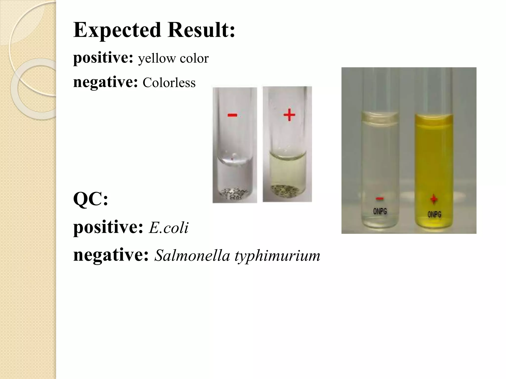 Biochemical reactions PPT.pptx