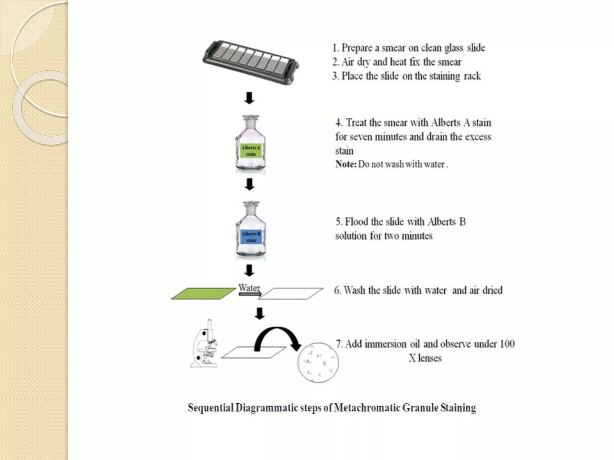 Biochemical reactions PPT.pptx
