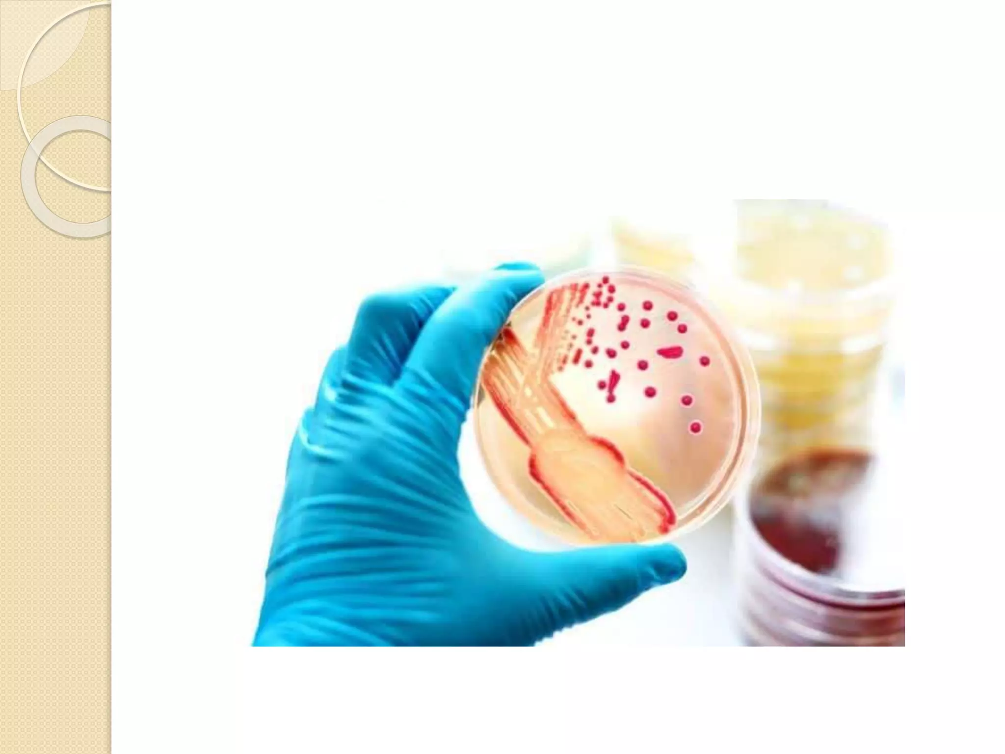 Biochemical reactions PPT.pptx