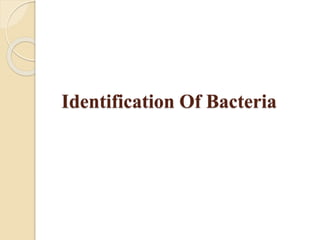 Biochemical reactions PPT.pptx